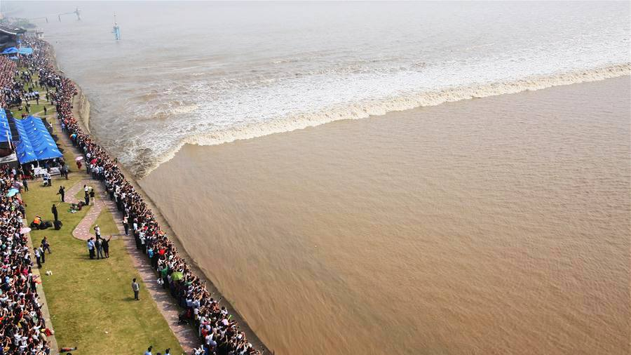 又到钱塘江观潮时 Qiantang tidal bore reaches peak - China Plus