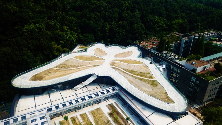 World's largest 'butterfly' sits beside China's West Lake - China Plus