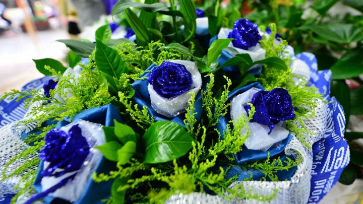 Chinese scientists use genetic technology to create blue roses - China Plus