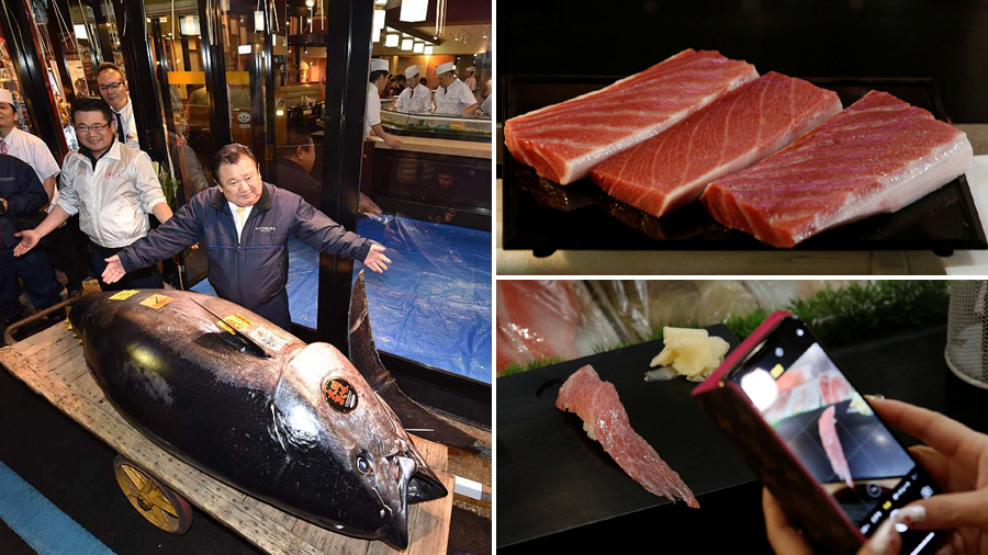 Record 3.1 million U.S. dollars paid for tuna at Tokyo fish market ...