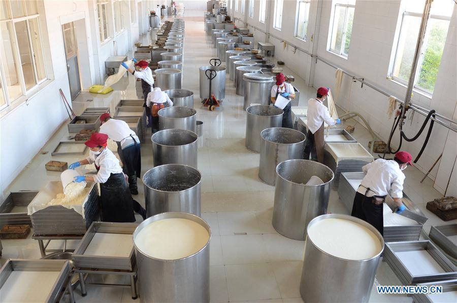 Fermented bean curd production provides over 1,200 jobs in Yunnan ...