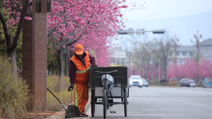 Hardworking cleaners on the most beautiful street in Yunnan - China Plus