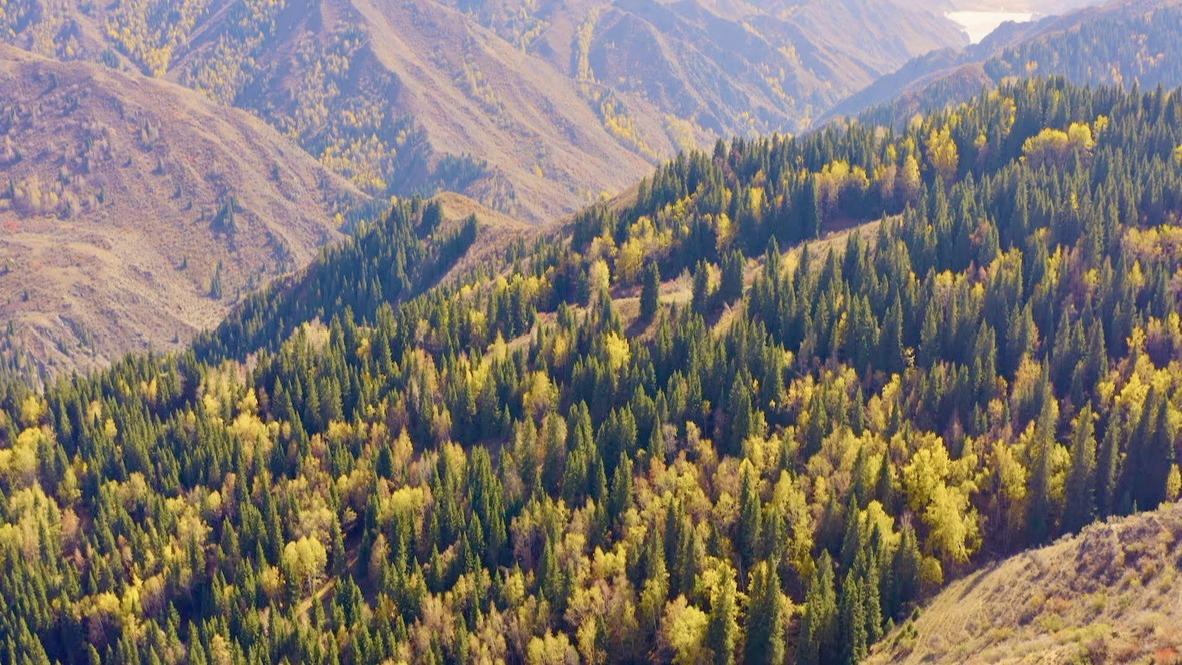 Dolina rijeke u sjeverozapadnoj kineskoj regiji Xinjiang postala zlatna