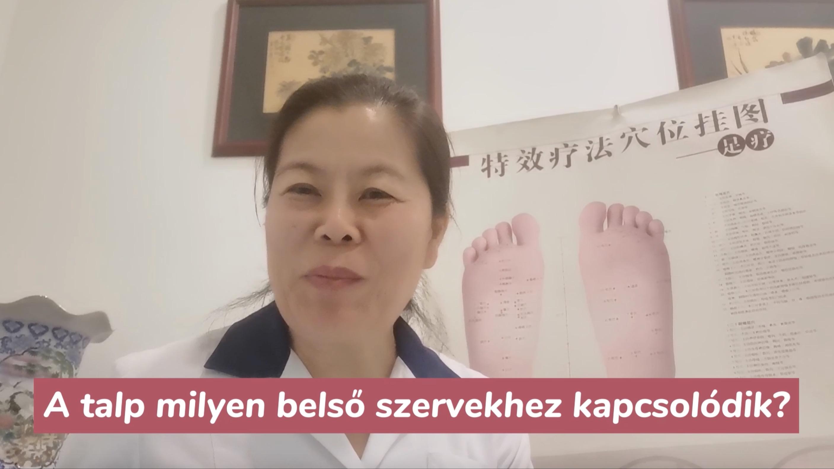 A talp milyen belső szervekhez kapcsolódik?